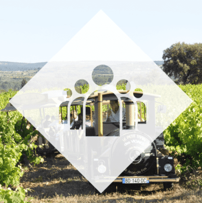 Visiter le Languedoc : 32 Sites d'Exception & Pass