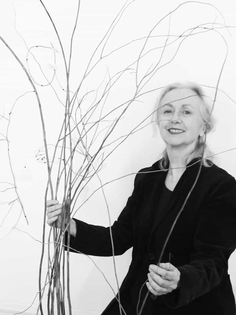 L'exposition "Métamorphoses" au Musée de Lodève